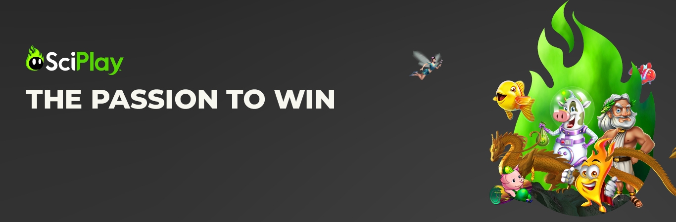 SciPlay | TikTok for Business Case Study